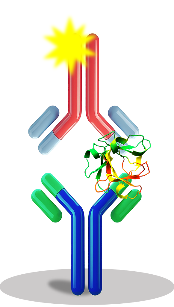 Recombinant Proteins and Reagents for Your Cell Research
